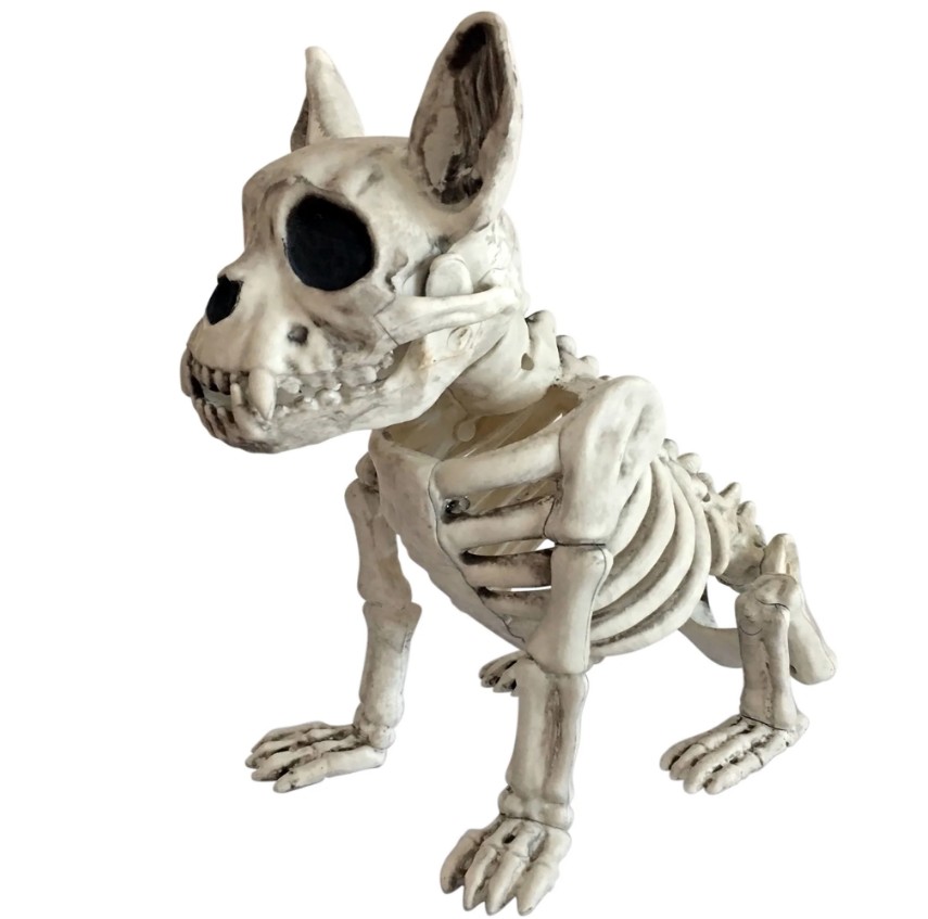 Skelet hond | Willaert Verkleedkledij